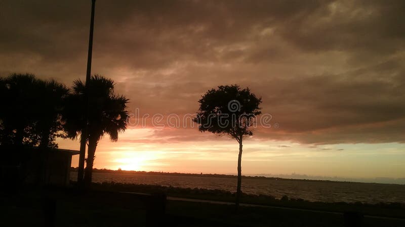 Thursday s sunset stock photo. Image of phenomenon, tree - 76310036