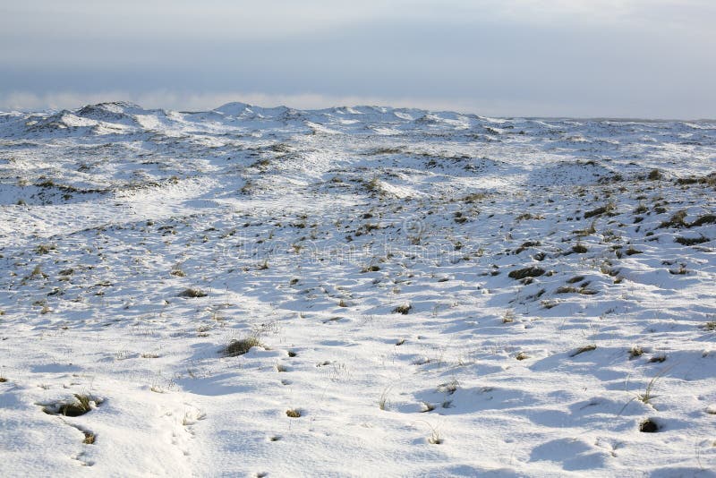 Thy National Park in Jutland, Denmark Stock Image - Image of nature ...