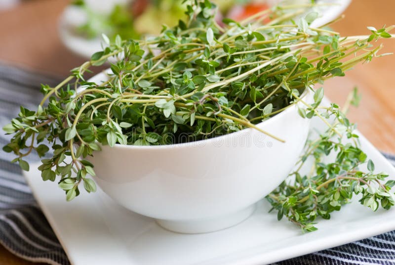 Thym photo stock. Image du organique, frais, centrale - 13161926