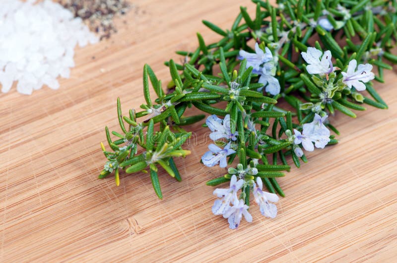 Bouquet de thym image stock. Image du jardin, groupe - 25658929