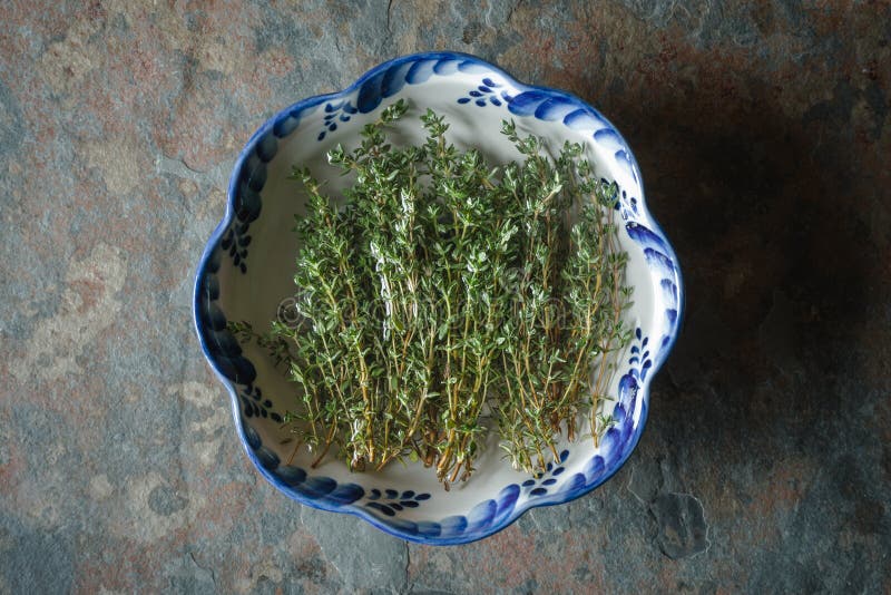Thym Vert Dans Une Cuvette Sur La Fin D'ardoise Photo stock - Image du ...
