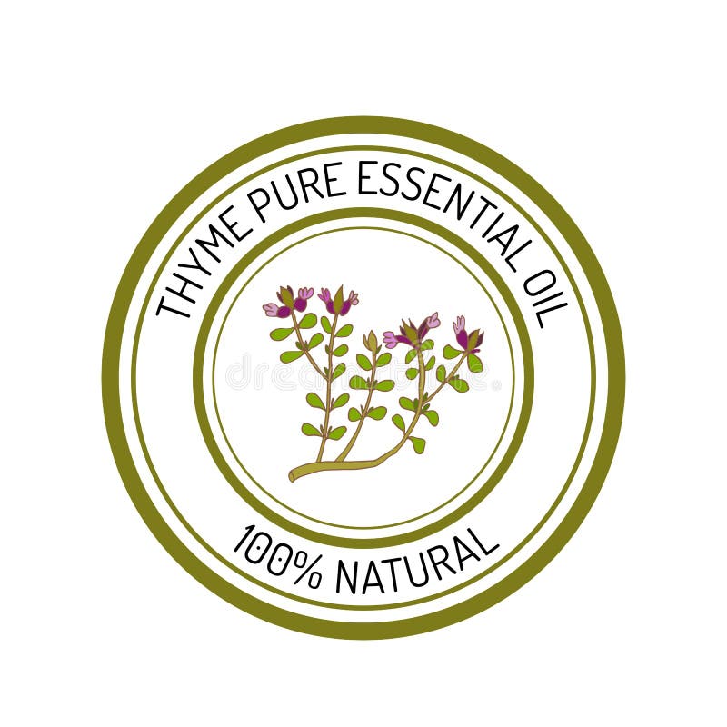 Thyme, Essential Oil Label, Aromatic Plant Stock Vector - Illustration ...