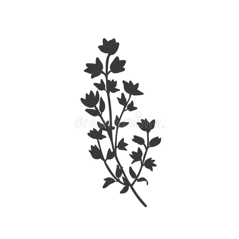 Thyme silhouette icon. stock vector. Illustration of retro - 189972765