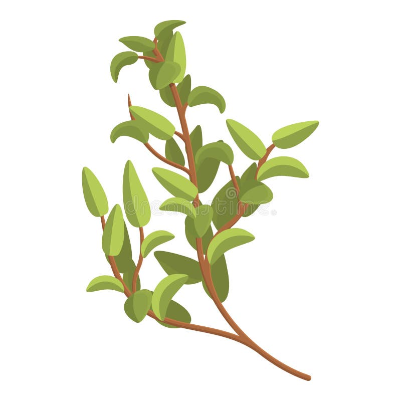 Cartoon Thyme Stock Illustrations – 702 Cartoon Thyme Stock ...