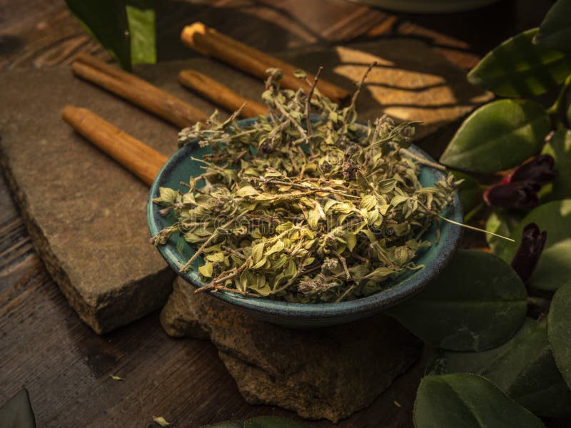 Thyme Tea in a Small Plate with Cinnamon Sticks on a Stone Stock Image ...
