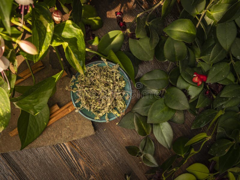 Thyme Tea in a Small Plate with Cinnamon Sticks on a Stone Stock Image ...