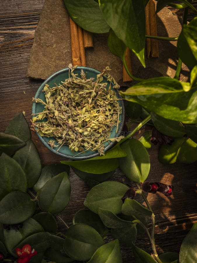 Thyme Tea in a Small Plate with Cinnamon Sticks on a Stone Stock Image ...
