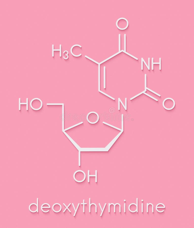 Thymidine Deoxythymidine-nucleoside-molecule. Dna - Bouwsteen ...