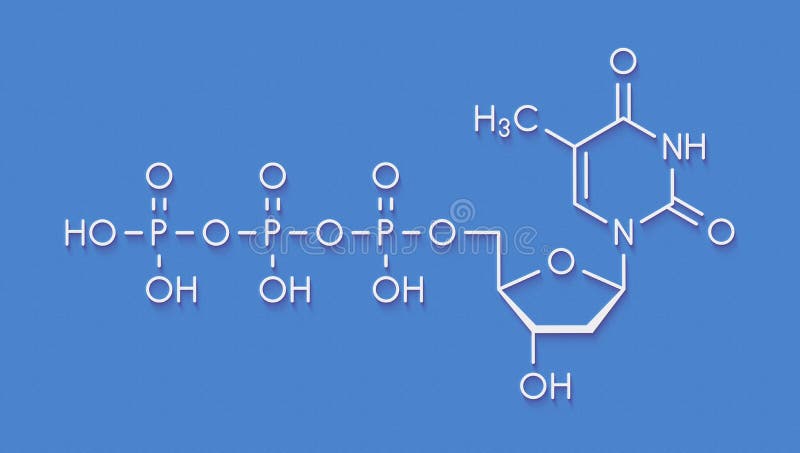 Thymidine chemical formula stock vector. Illustration of ...