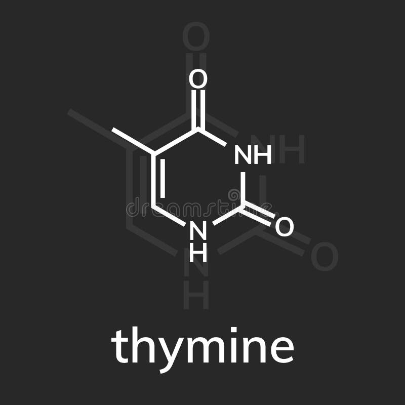 Thymine chemical formula stock vector. Illustration of biology - 150248439