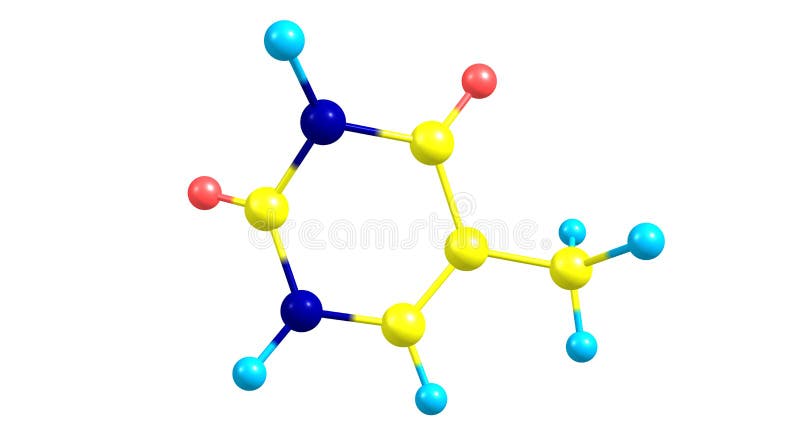 Thymine Molecular Structure Isolated on White Stock Illustration ...