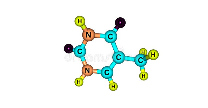 Thymine Molecular Structure Isolated on White Stock Illustration ...