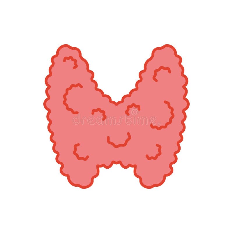 Healthy Thyroid Gland Body Organ Outline Icon Stock Vector ...