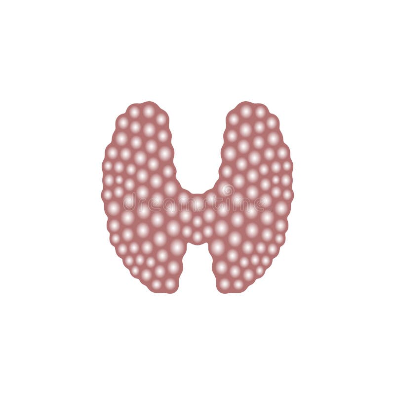 Thyroid Gland Symbol on White Background Stock Vector - Illustration of ...