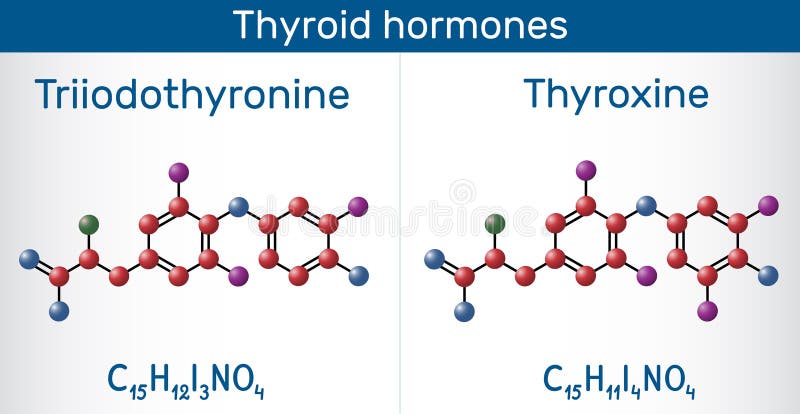 Thyroxine T4 Levothyroxine Molecule It Is Thyroid Hormone Prohormone Of Thyronine T3 Used