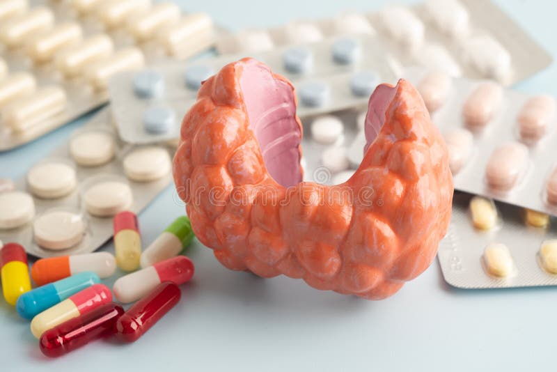 Thyroid Model Pill Drug Treatment Hyperthyroidism Overactive Lymphoma ...