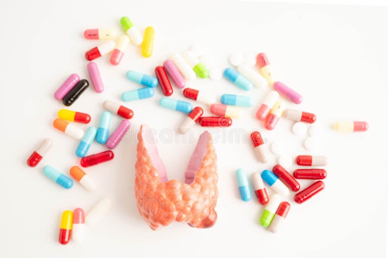 Thyroid Model with Pill Drug Treatment, Hyperthyroidism, Overactive or ...