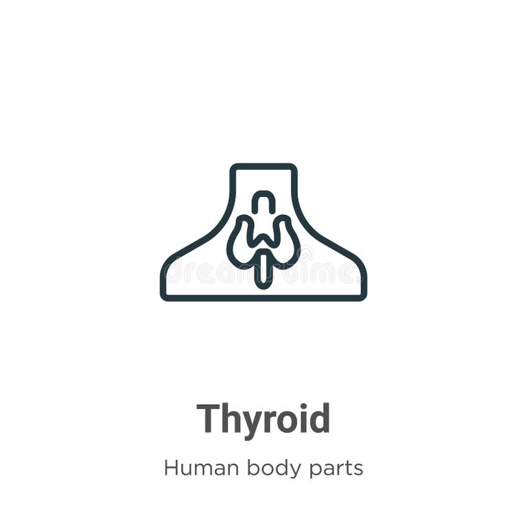 Thyroid Outline Vector Icon. Thin Line Black Thyroid Icon, Flat Vector ...