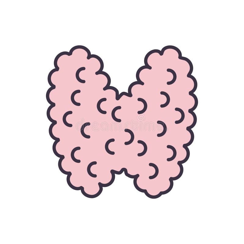 Thyroid Vector Line Icons stock vector. Illustration of white - 282796018