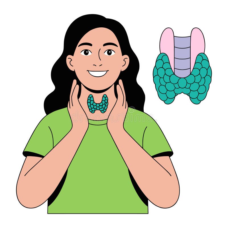 Thyroid Self Check Vector Stock Illustrations – 2 Thyroid Self Check ...