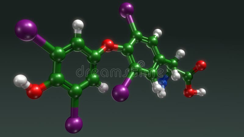 Thyroxine Hormone Molecule, Chemical Structure. Stock Image ...