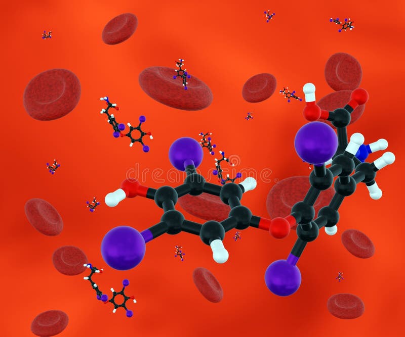 Thyroxine or T4 Hormone Molecule and Red Blood Cells Stock Illustration ...