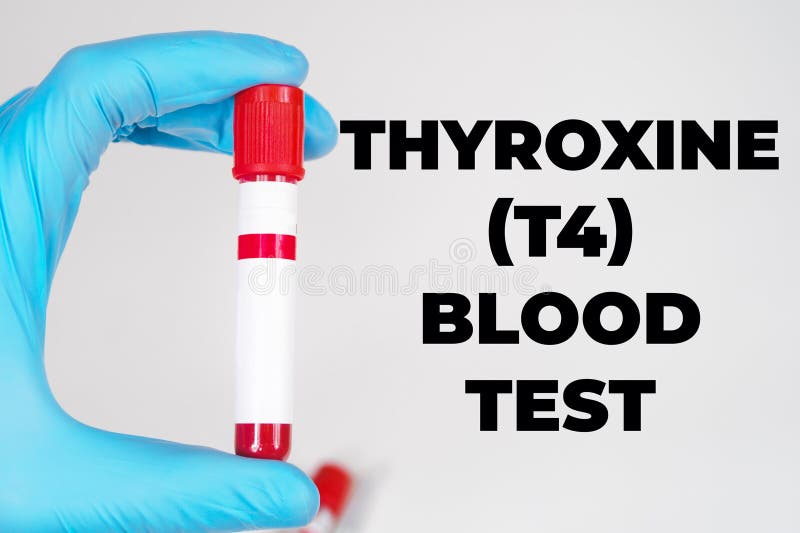 Thyroxine (T4) Test Name of Medical Test Test Tube Stock Photo - Image ...