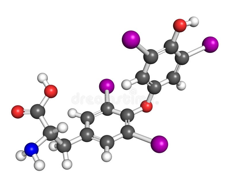 Thyroxin - Molekulares Modell Stock Abbildung - Illustration von atome ...