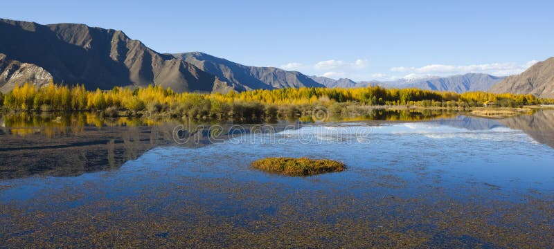 Tibet: autumn landscape stock photo. Image of landscape - 15637326