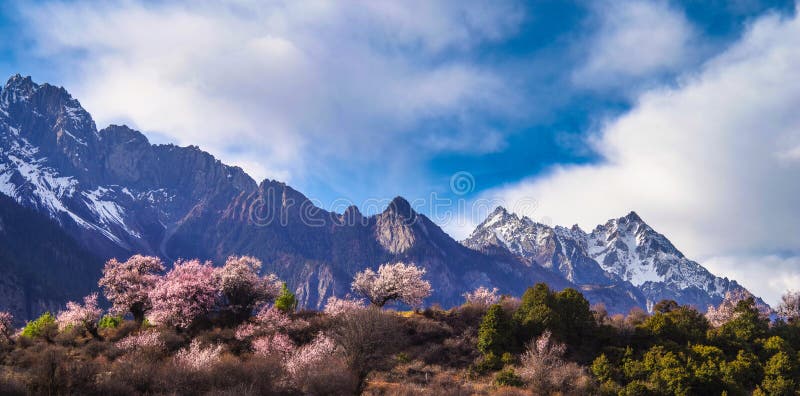 Tibet Temple stock photo. Image of temple, shine, chinese - 6105630