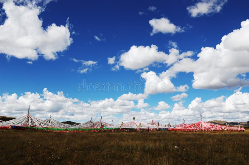 Tibet Flags On The Field Picture. Image: 5438015