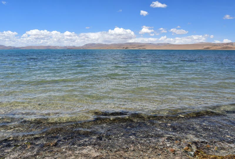 Tibet, Gomang Lake in the Summer Stock Image - Image of china, shore ...