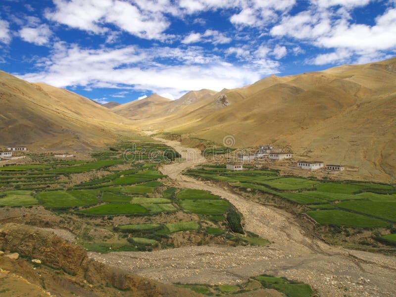 Tibet landscape stock photo. Image of grass, yellow, cole - 11556006