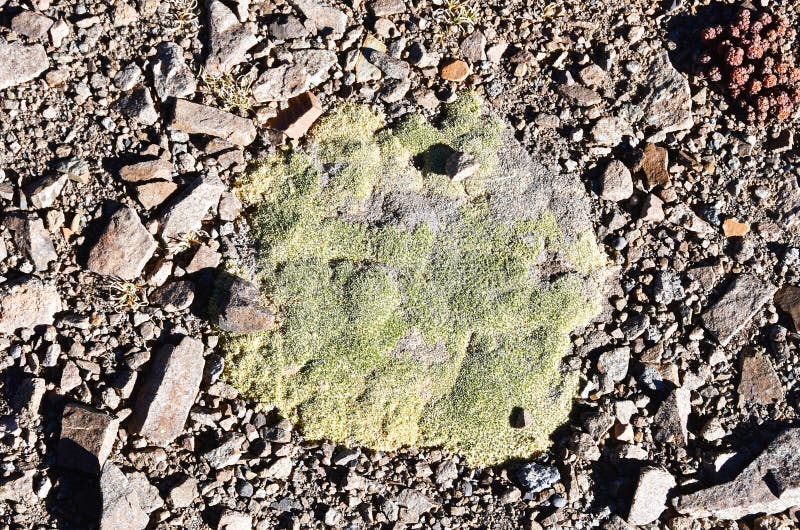 Less is More Scale Concept stock photo. Image of confusion - 93174126