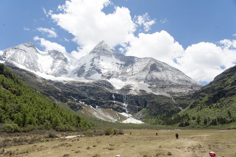 Tibet Snow Mountain with Grassland Stock Image - Image of travel ...