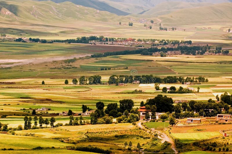 Tibet summer stock photo. Image of village, meadow, wind - 7175368