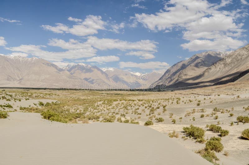 Tibetan alpine grassland stock image. Image of altered - 34285387