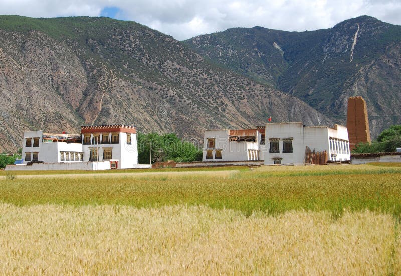 Tibetan countryside stock image. Image of rural, farmland - 26647887