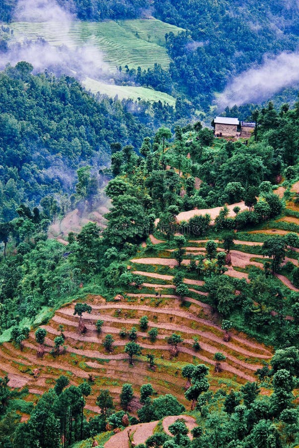 Tibetan Countryside stock photo. Image of green, mountain - 6551828