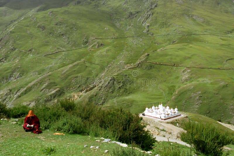 Tibetan Monk Reading a Book. Stock Image - Image of buddha, meditation ...