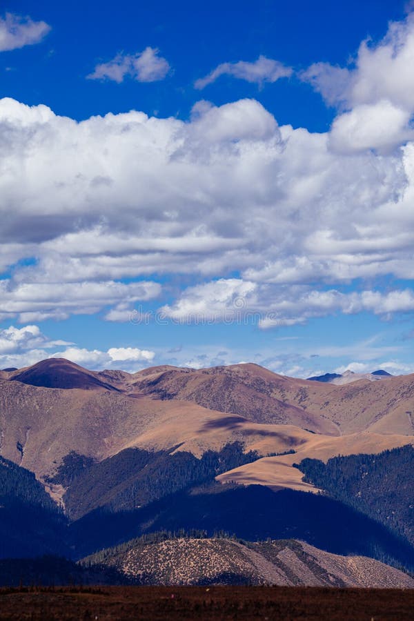 Tibetan Mountains and Forest Stock Photo - Image of china, scenery ...