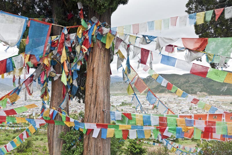 Tibetan Prayer Flags on Cedar Tree Stock Image - Image of province ...
