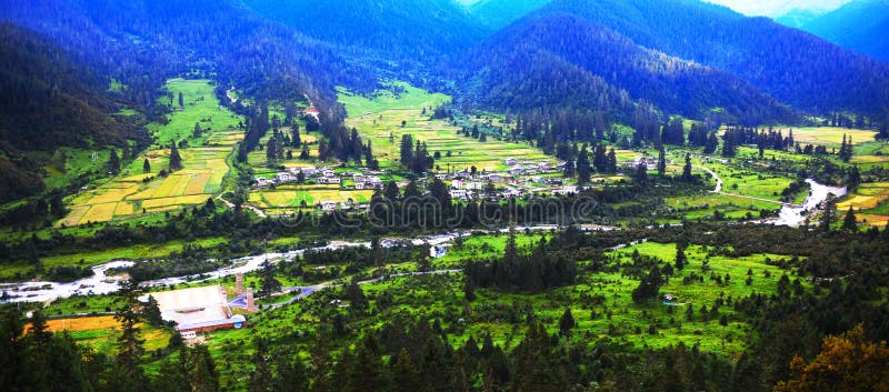 Tibetan town stock image. Image of beautiful, fall, forest - 21853691