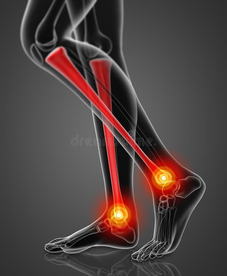 Tibia stock illustration. Illustration of medicine, foot - 82856416