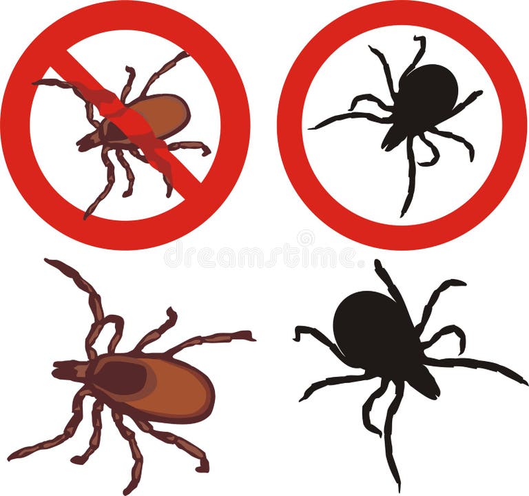 Tick Insecticide Stock Illustrations – 1,571 Tick Insecticide Stock ...