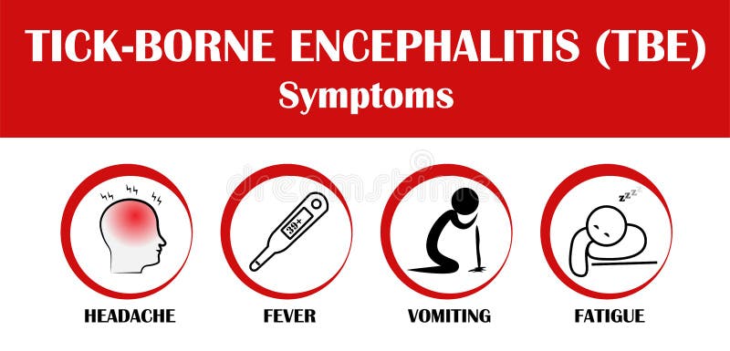 Tick-borne Encephalitis Symptoms, Flat Style Vector Illustration ...