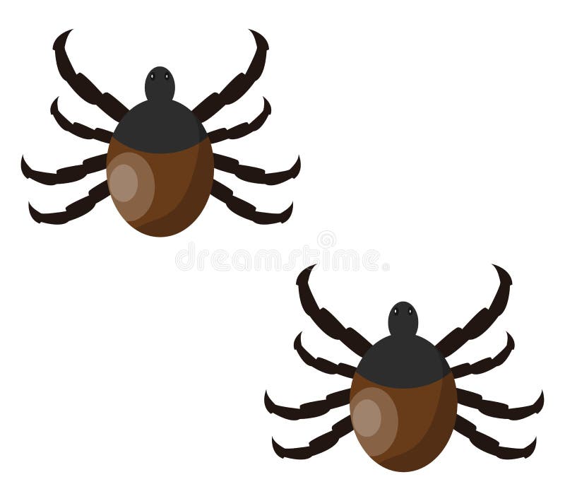 Tick bugs, icon stock vector. Illustration of spider - 262385944