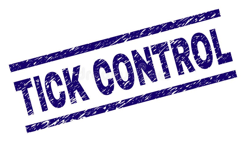 Tick Placed Stock Illustrations – 93 Tick Placed Stock Illustrations ...