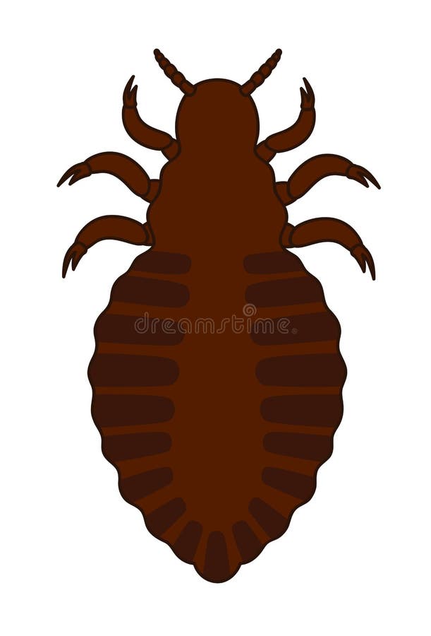 Tick insect stock vector. Illustration of insect, fever - 32881447