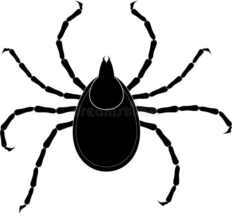Tick Insect Stock Illustrations – 2,219 Tick Insect Stock Illustrations ...